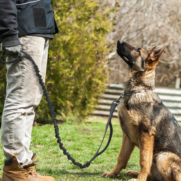 Rabbitgoo dog pet Leash | Daily walk use & Training use