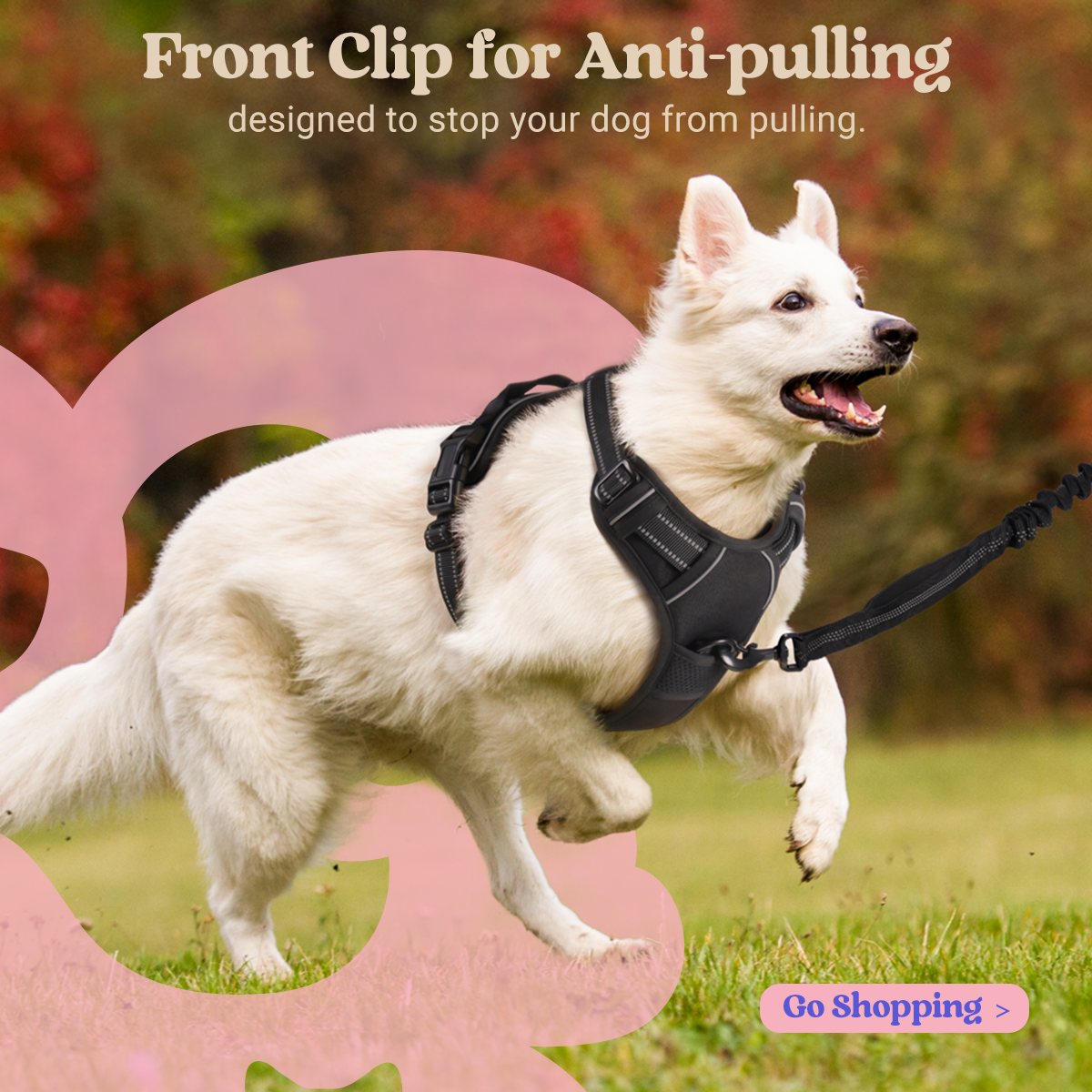 Rabbitgoo: Indestructible Pet harness & Gears